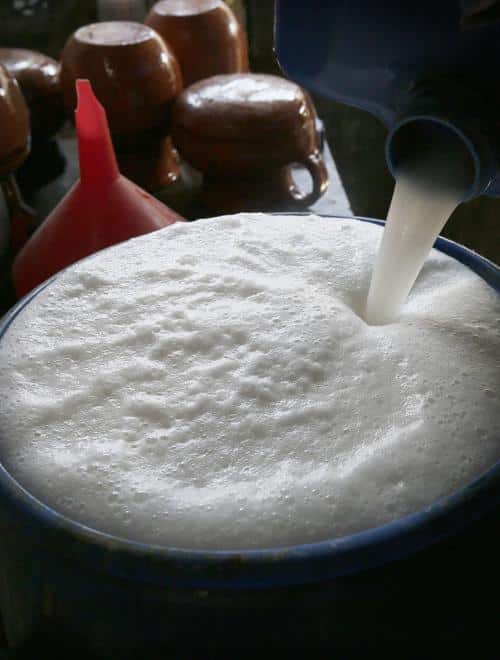 Pulque: Mexico's Wine of the Gods - Wine & Spirits Journal