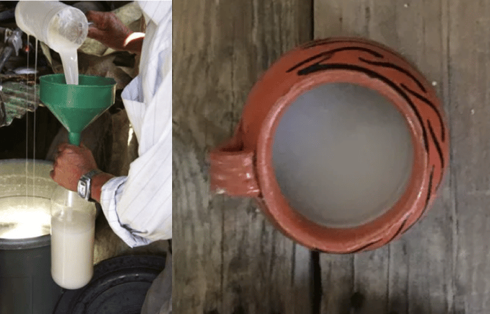 Pulque: Mexico's Wine of the Gods - Wine & Spirits Journal
