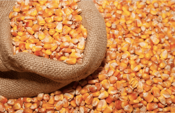 Super-Premium Vodkas Are Not All Created Equal