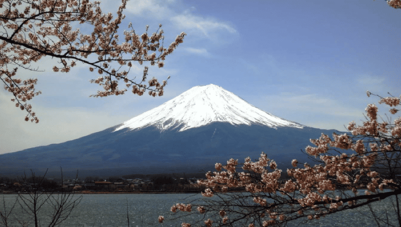 黒美 BIKOKU : Japanese Pure Malt Whisky - Wine & Spirits Journal