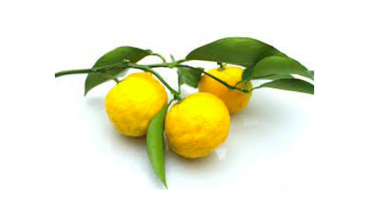 Haiken Lychee Flavored Japanese Vodka Makes the Ultimate Lychee Martini ...